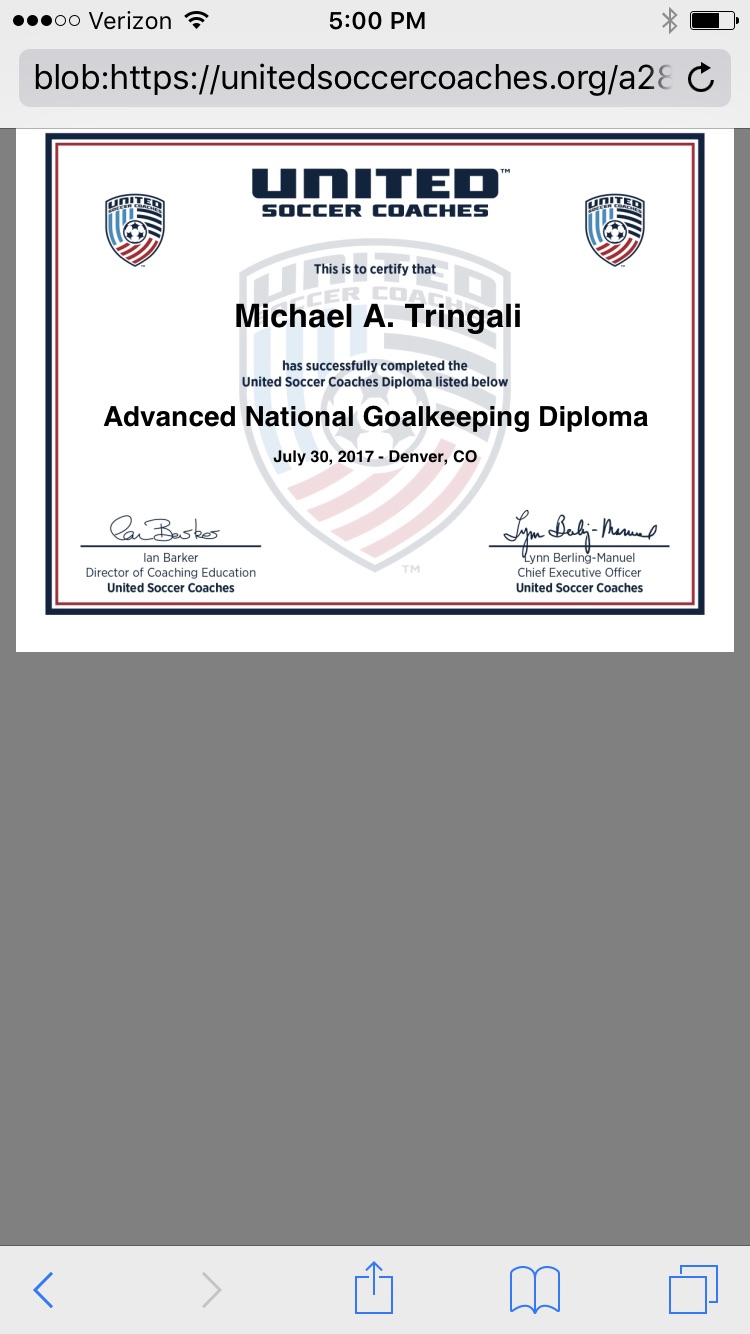 Michael Tringali - Sales Executive | Lugano | LinkedIn